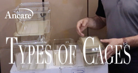 Types of Cages – Ancare