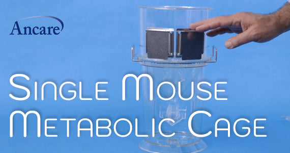 Single Mouse Metabolic Cage – Ancare