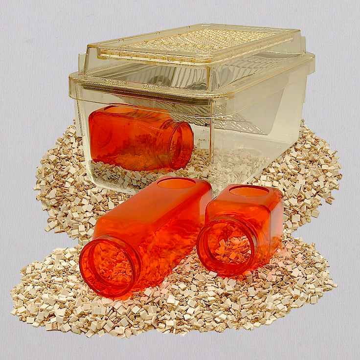 Plastic Enrichment Houses – Ancare